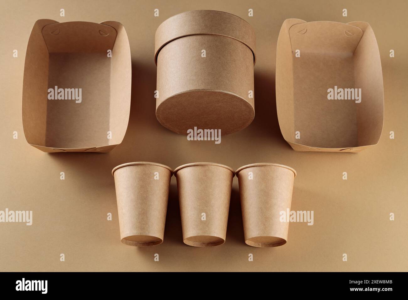 Biodegradable Boxes and Disposable Cups Supporting Conservation Efforts ...