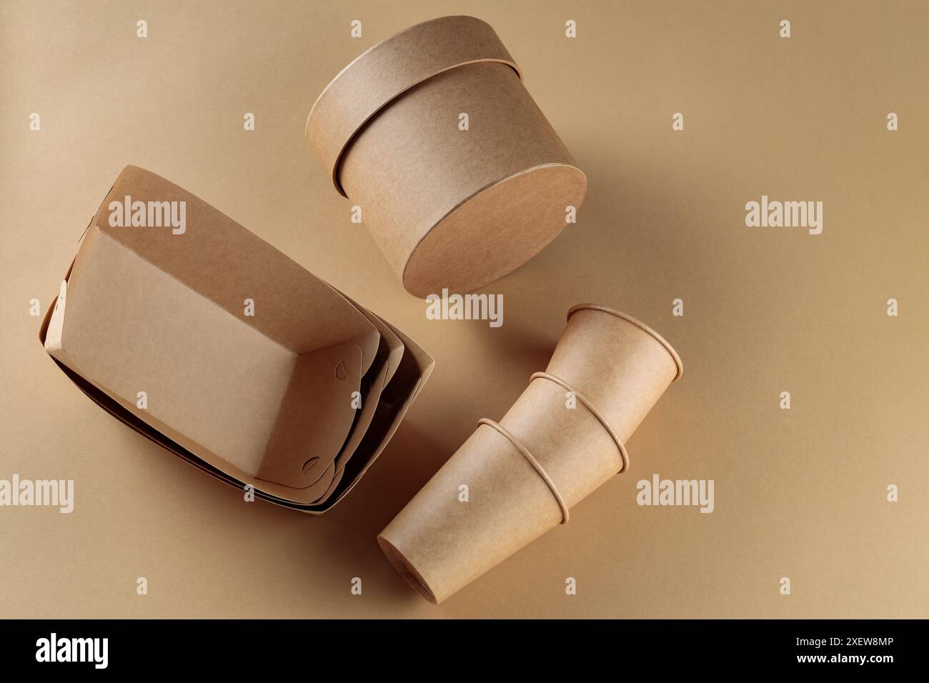 Biodegradable Boxes and Disposable Cups Supporting Conservation Efforts ...