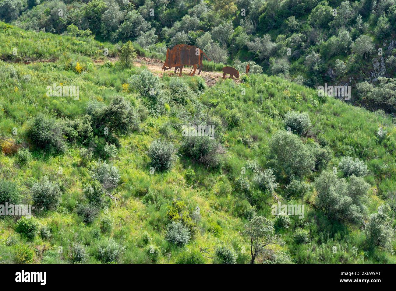 Scenic elements of iron boars on the Nisa walkways at Barca da amieira ...