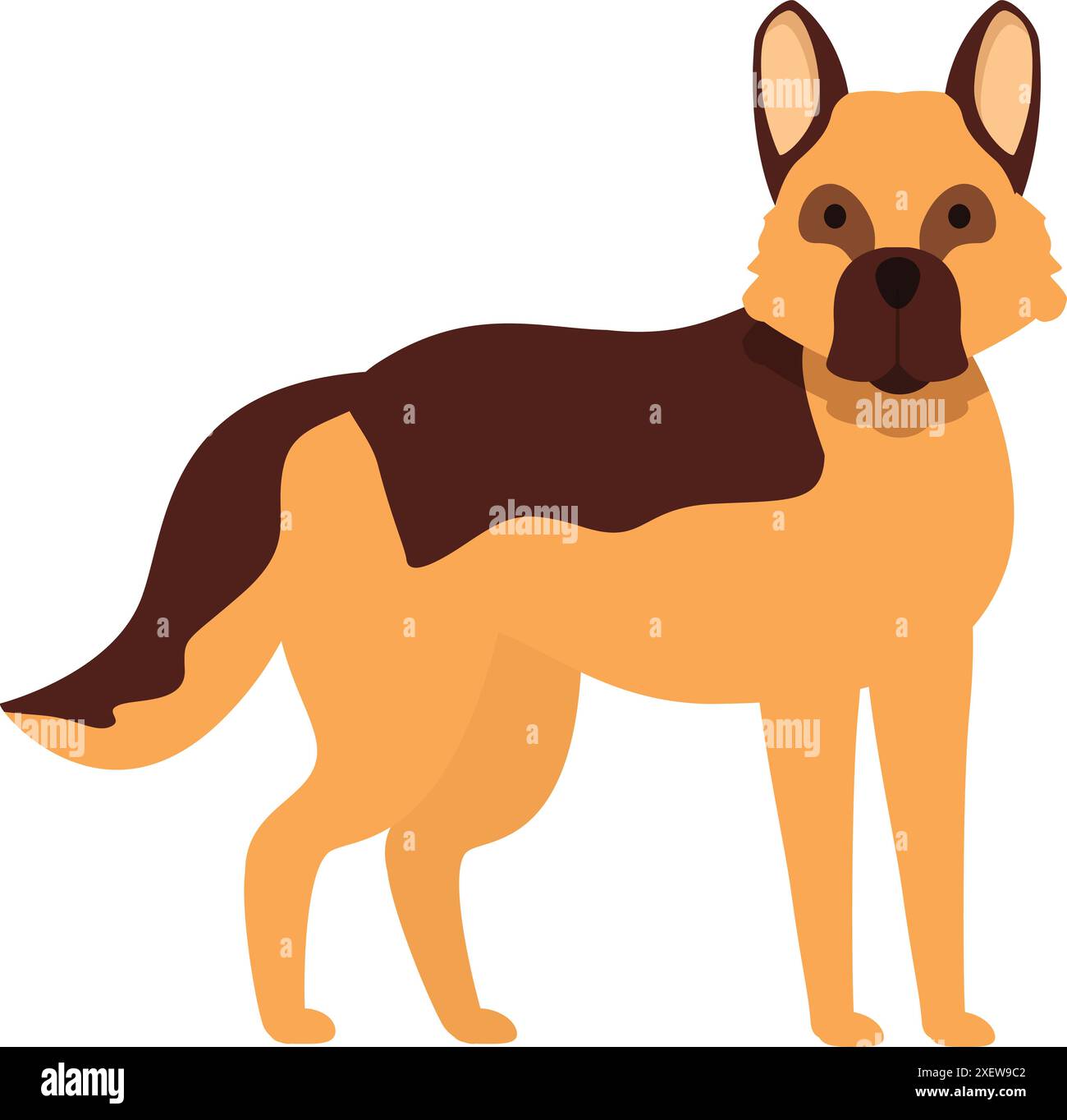 Illustration of a german shepherd dog standing alert Stock Vector Image ...