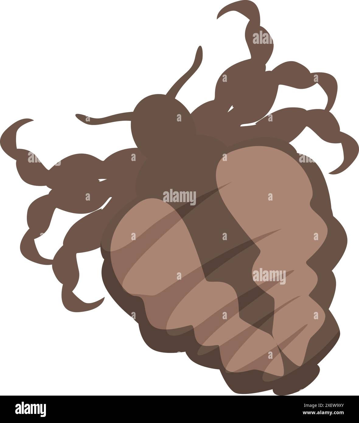 Brown louse insect spreading infection through bloodsucking, parasite ...