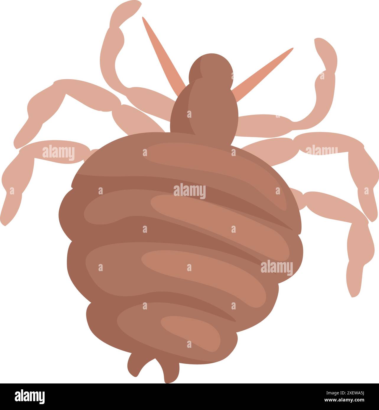 Tick diseases Stock Vector Images - Alamy