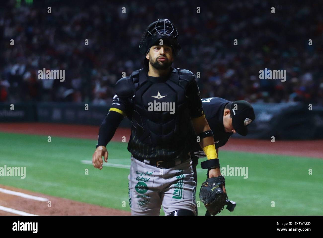 Leones de yucatan mexican baseball team hi-res stock photography and ...