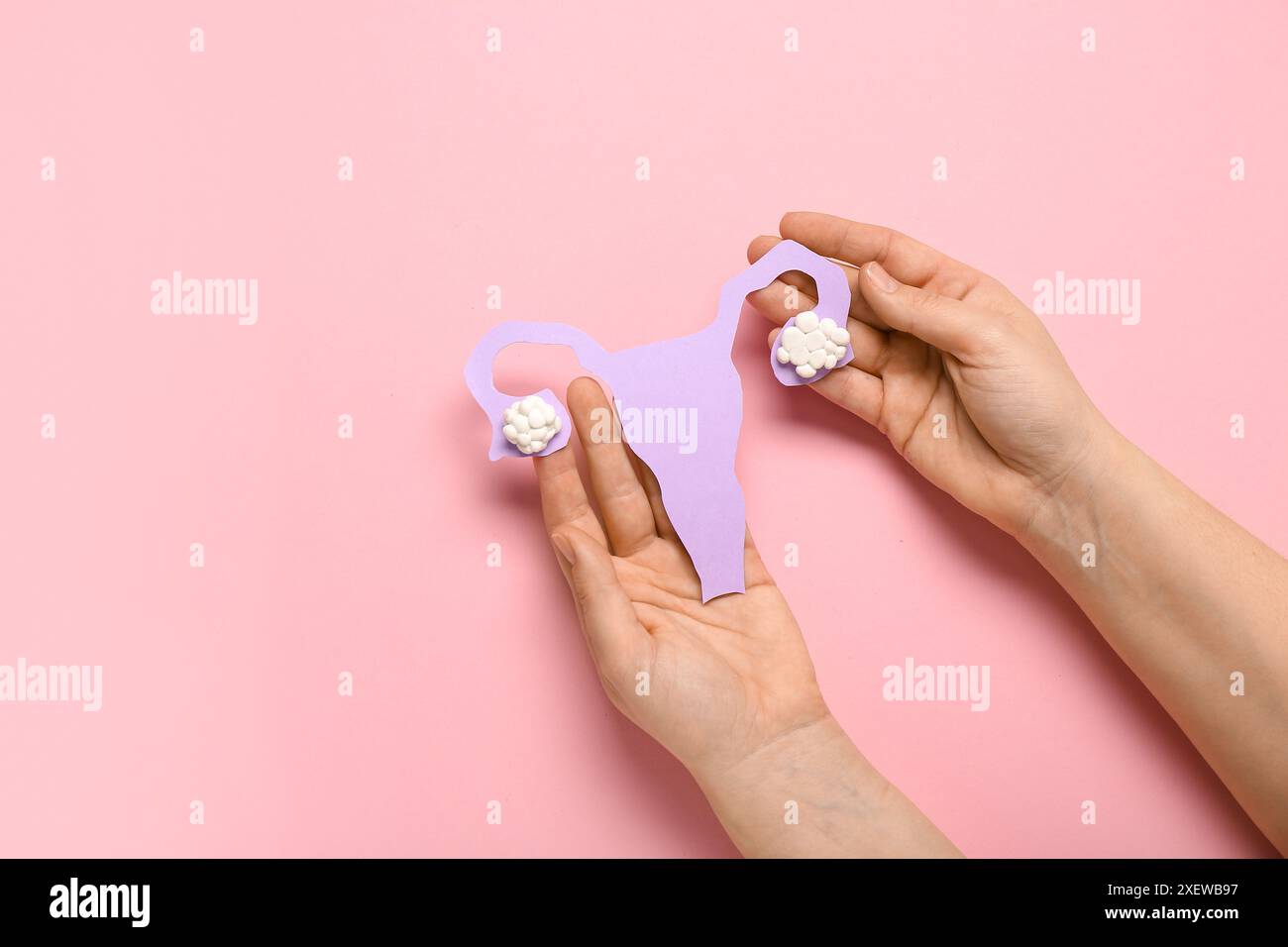 Female hands with paper uterus on pink background Stock Photo - Alamy