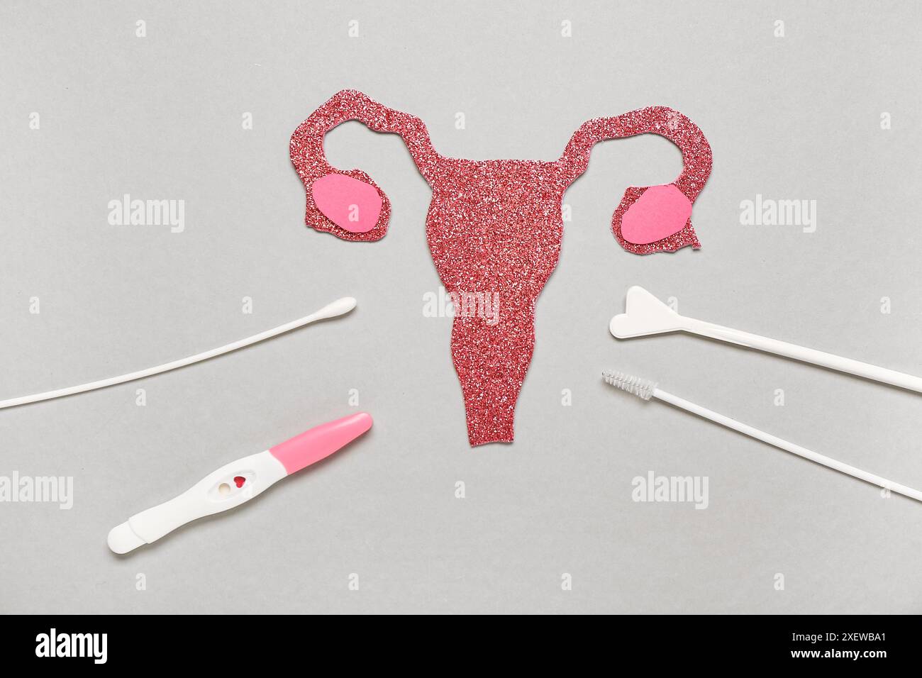 Paper uterus with pap smear test tools on grey background Stock Photo ...