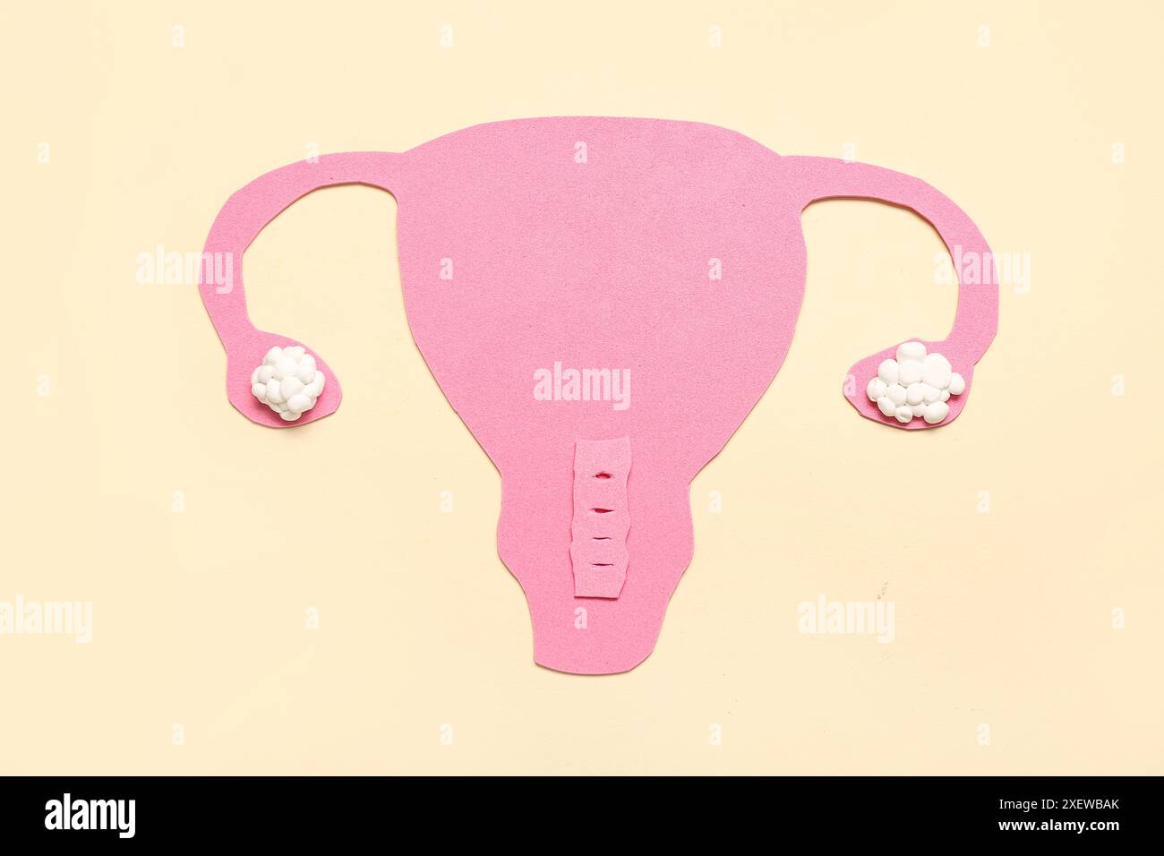 Paper uterus on beige background Stock Photo - Alamy