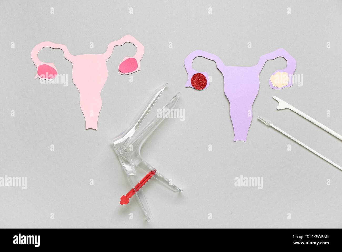 Paper uteruses with gynecological speculum and pap smear test tools on ...