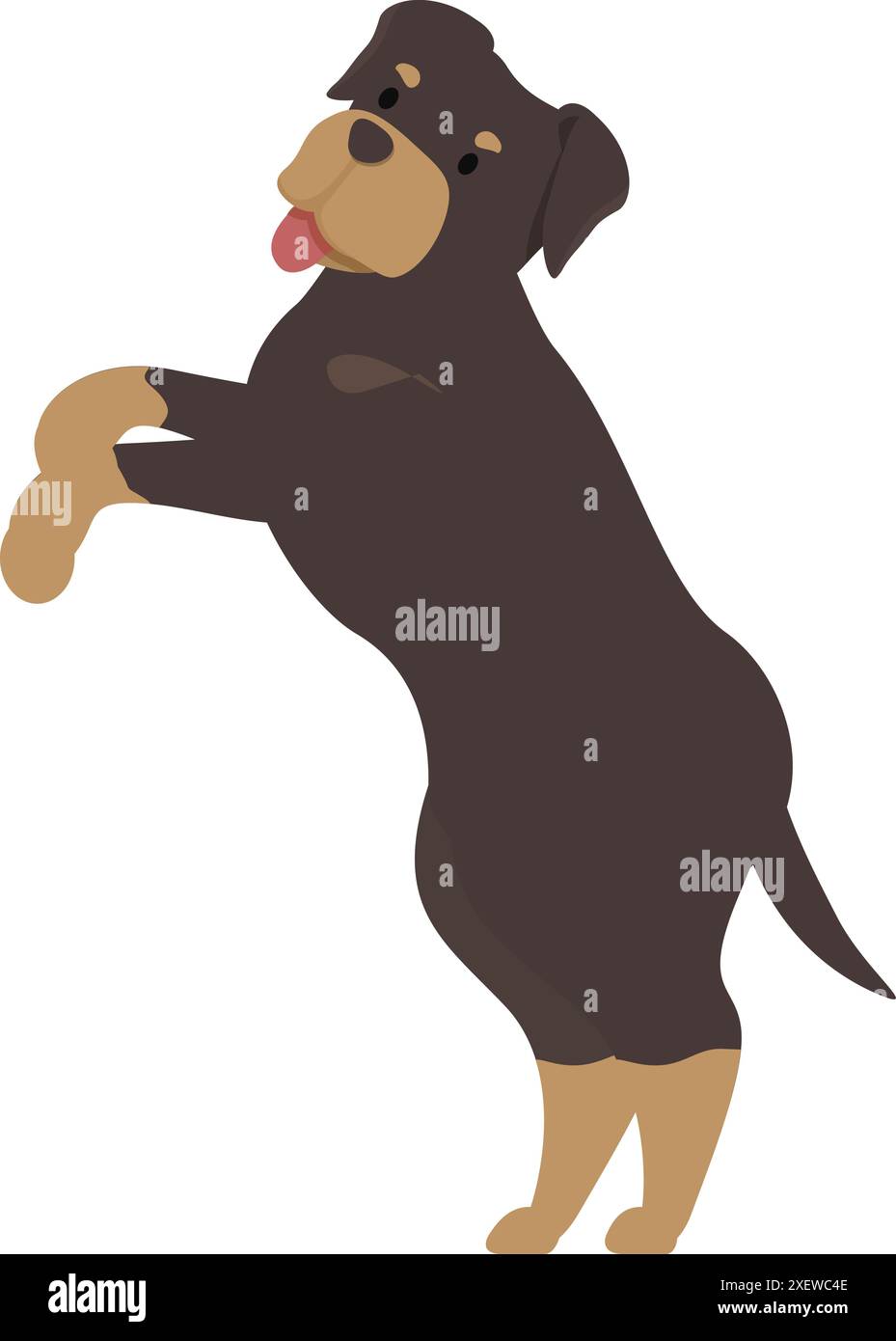 Adorable active playful purebred Stock Vector Images - Alamy