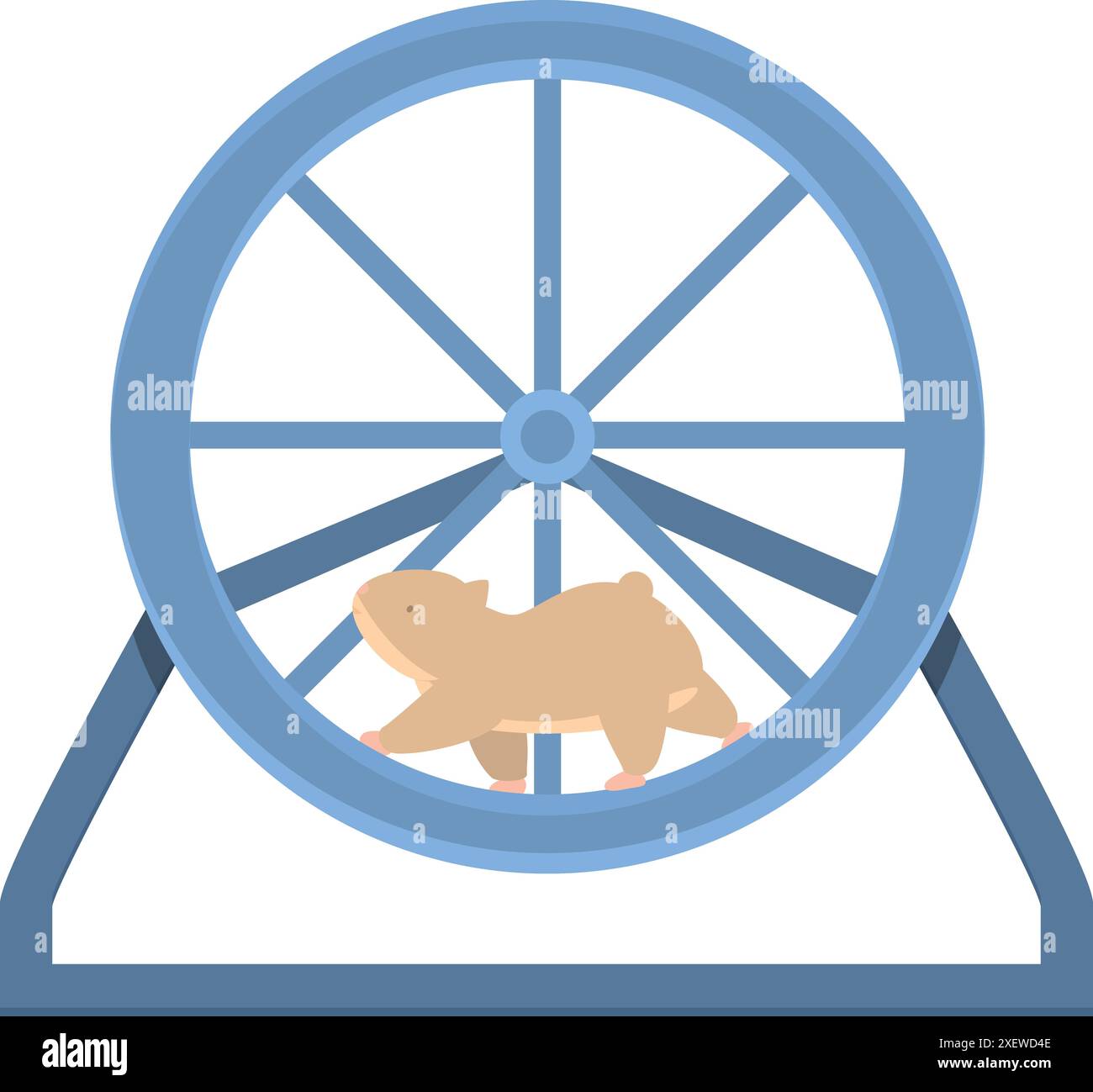 Cute hamster running on blue wheel hi-res stock photography and images ...
