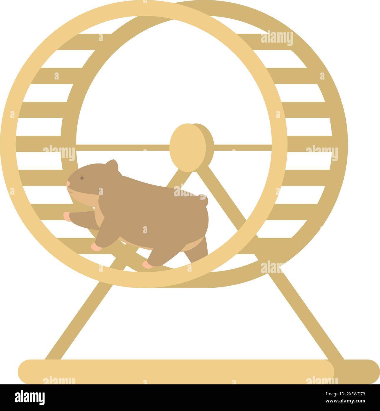 Brown hamster is having fun running inside a spinning wheel toy Stock ...