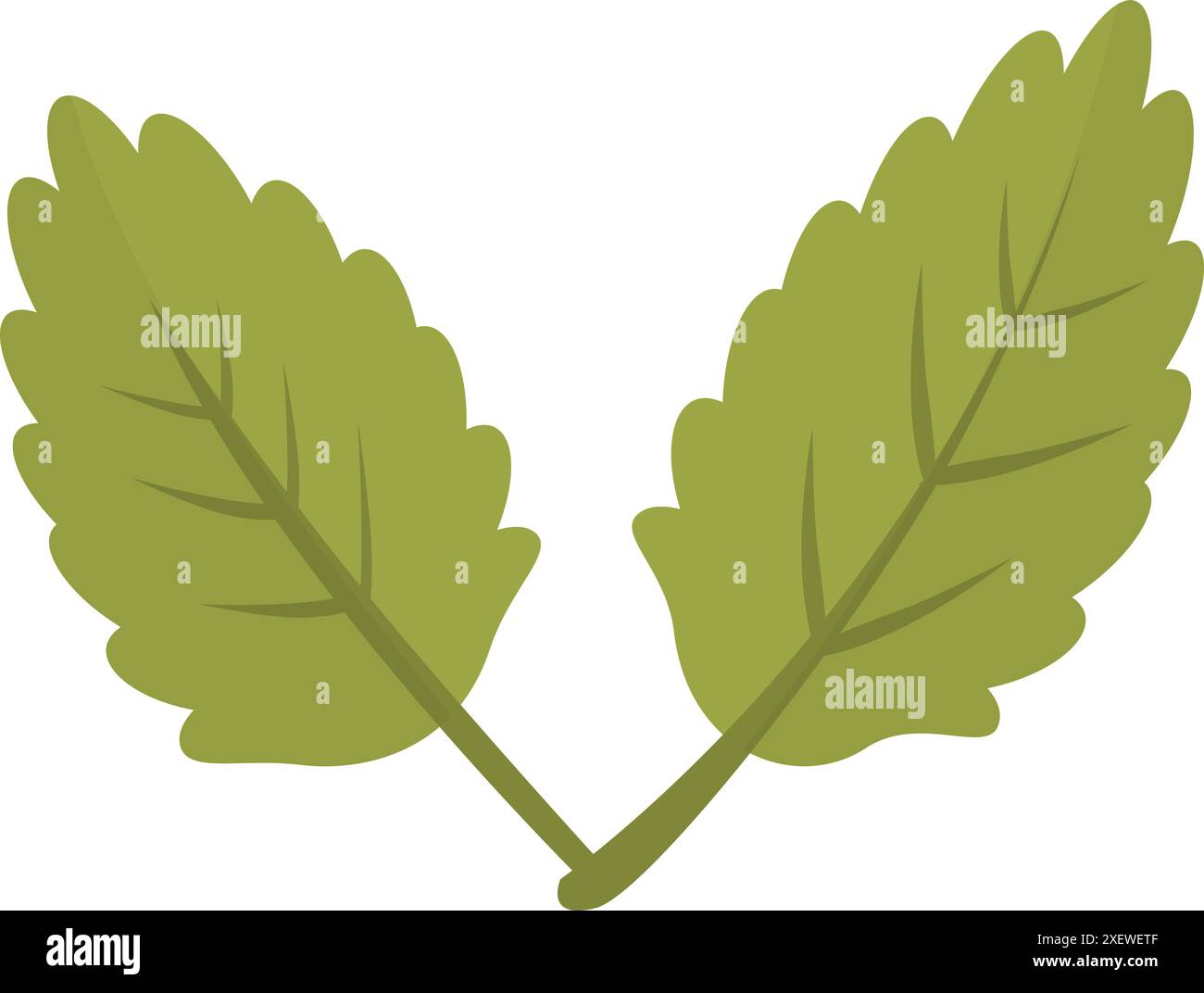 V forming leaves hi-res stock photography and images - Alamy