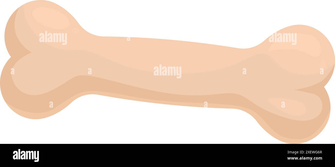 Cartoon bone is shown in a white background Stock Vector Image & Art ...