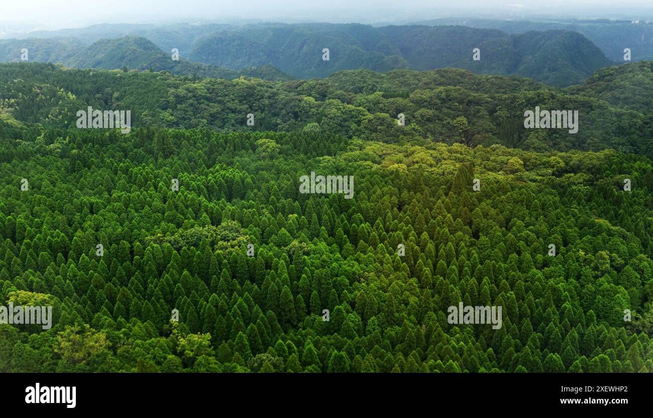 Aerial view of forests in Kagoshima prefecture, Kyushu, Japan Stock ...
