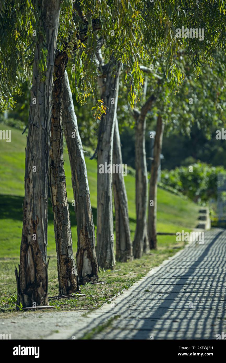 A large park that can include playgrounds, trails, lakes, and other ...