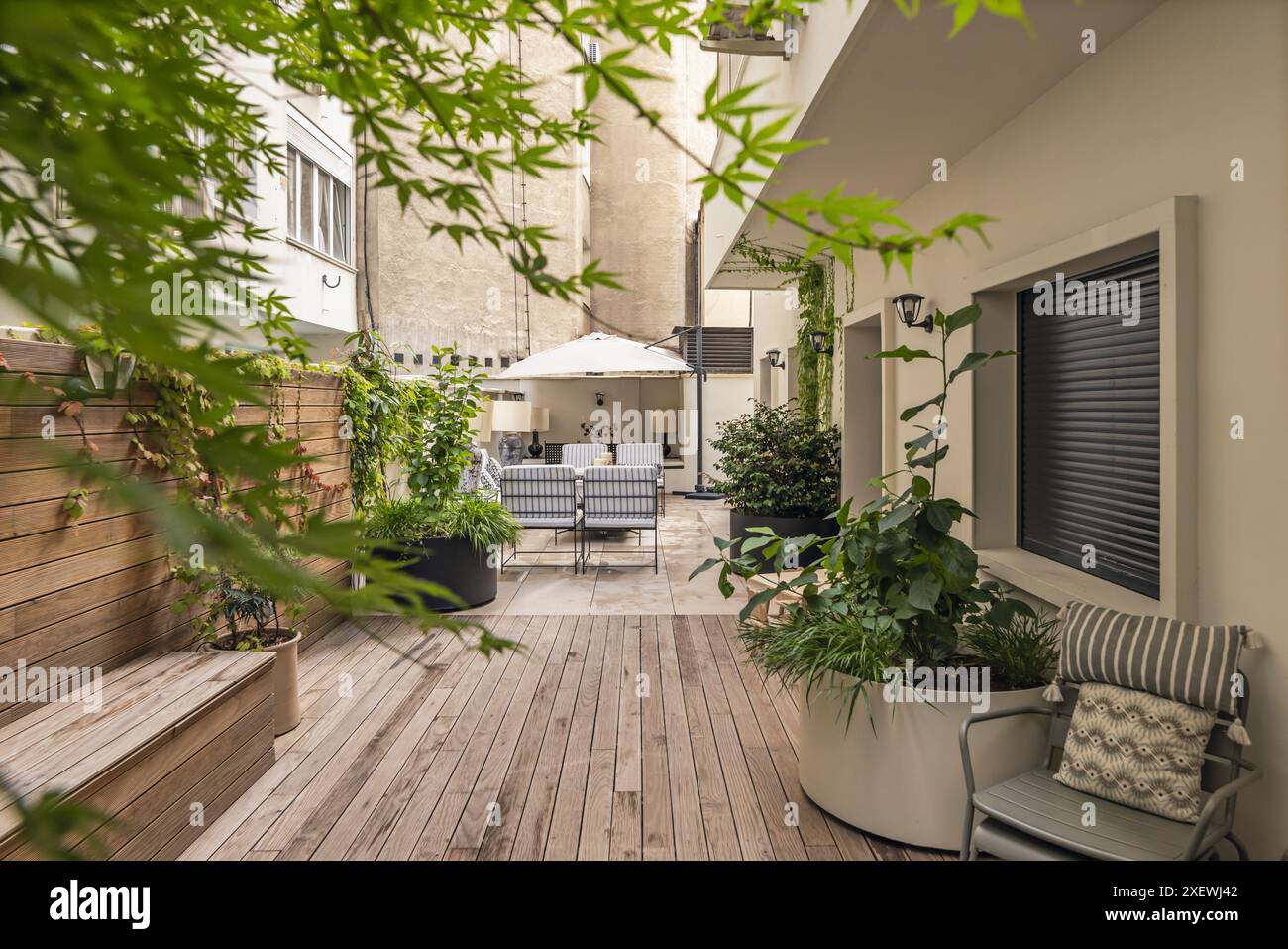 Plants can be a key element in decorating a terrace Stock Photo - Alamy
