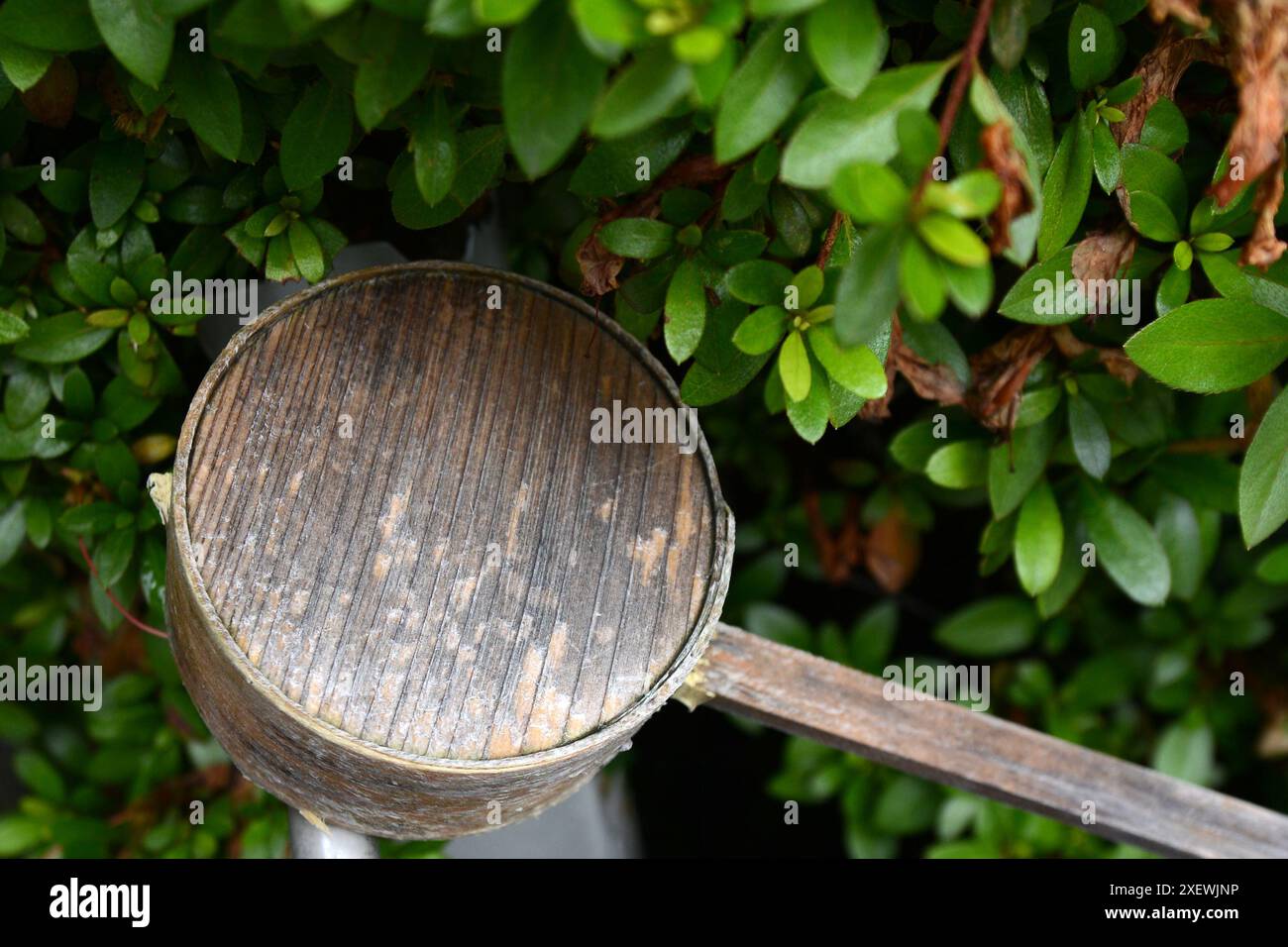 The small Okuninushi Shrine in Kagoshima, Japan Stock Photo - Alamy