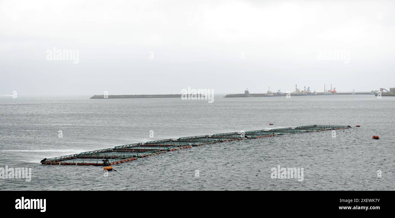 Seafood farms in Kagoshima Bay, Japan Stock Photo - Alamy