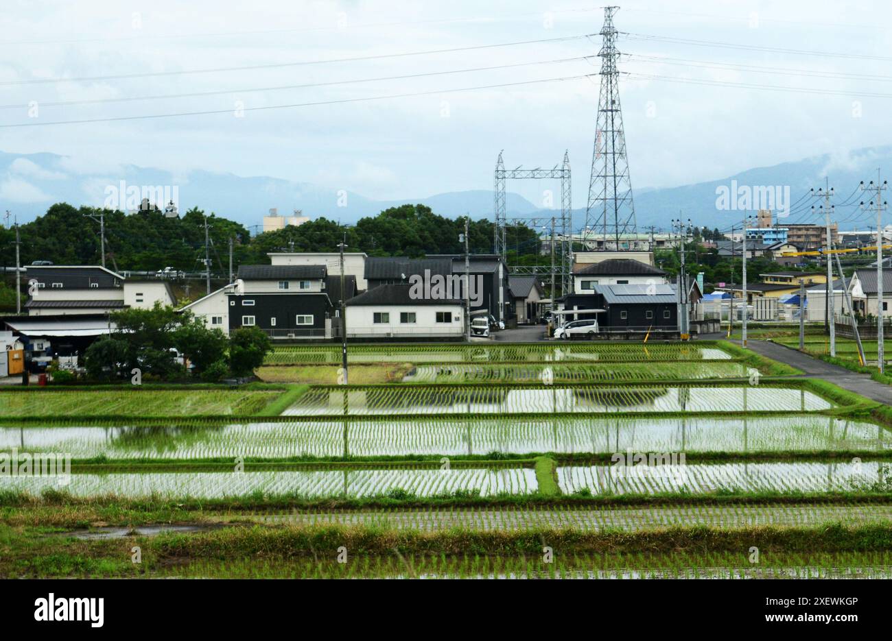 Agricultural landscapes in Southern Kyushu, Japan Stock Photo - Alamy