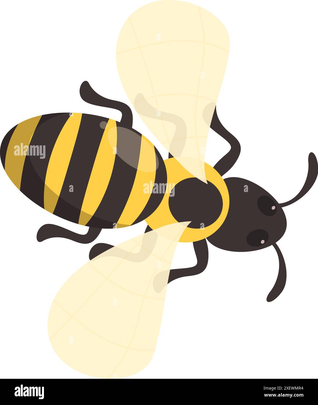 Bee happy species Stock Vector Images - Alamy