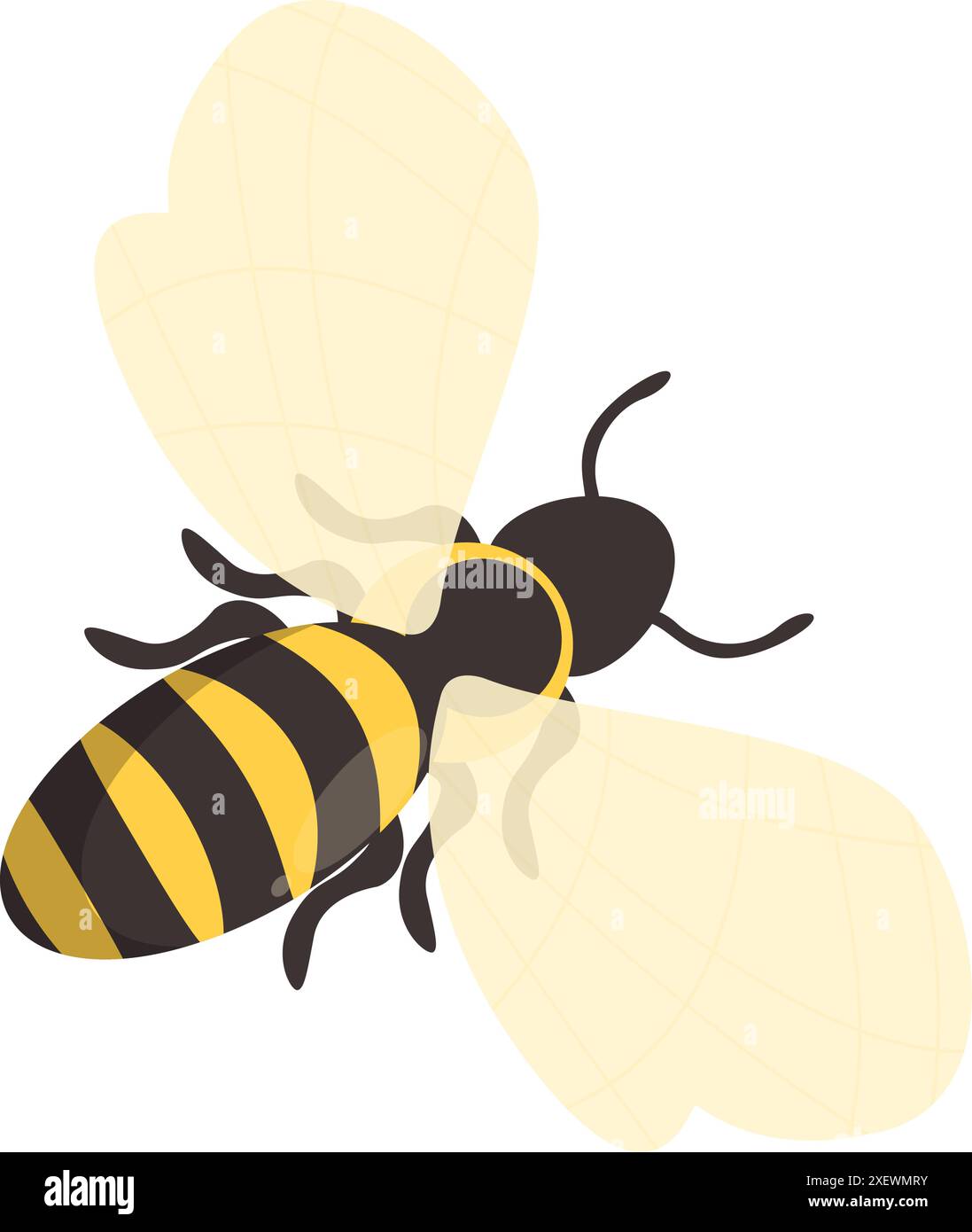 Cartoon honey bee is flying with its wings spread Stock Vector Image ...