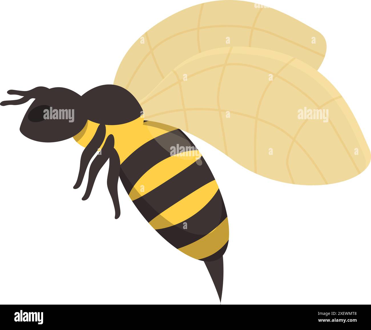 Cartoon honey bee flapping its wings and flying Stock Vector Image ...