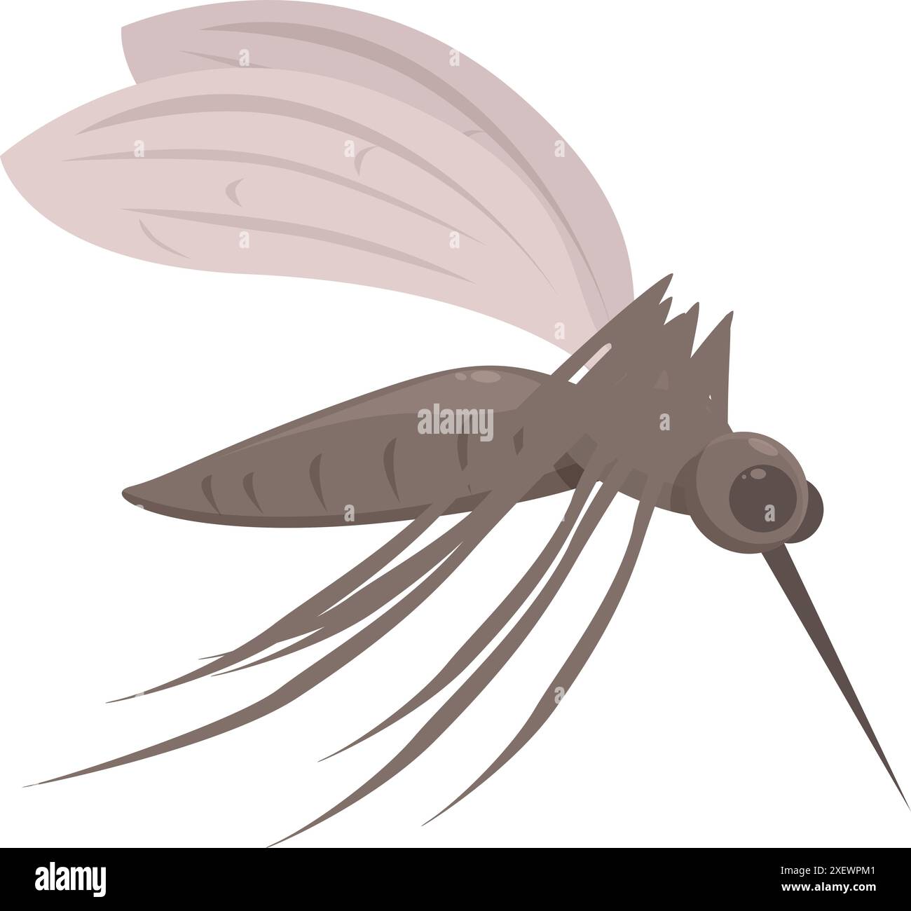 Mosquito is spreading its wings hi-res stock photography and images - Alamy