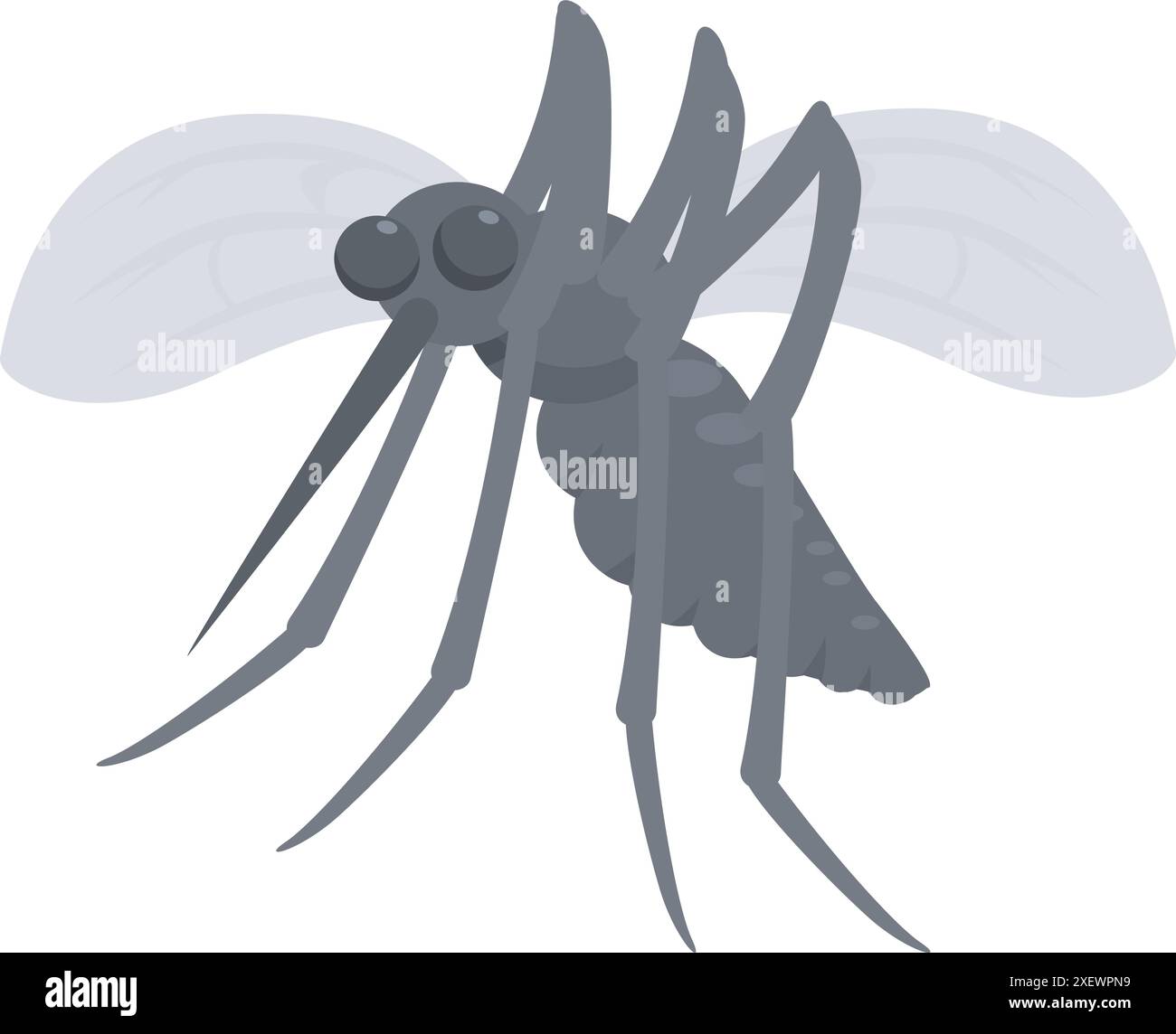 Grey mosquito with big eyes and long legs is flying and spreading ...