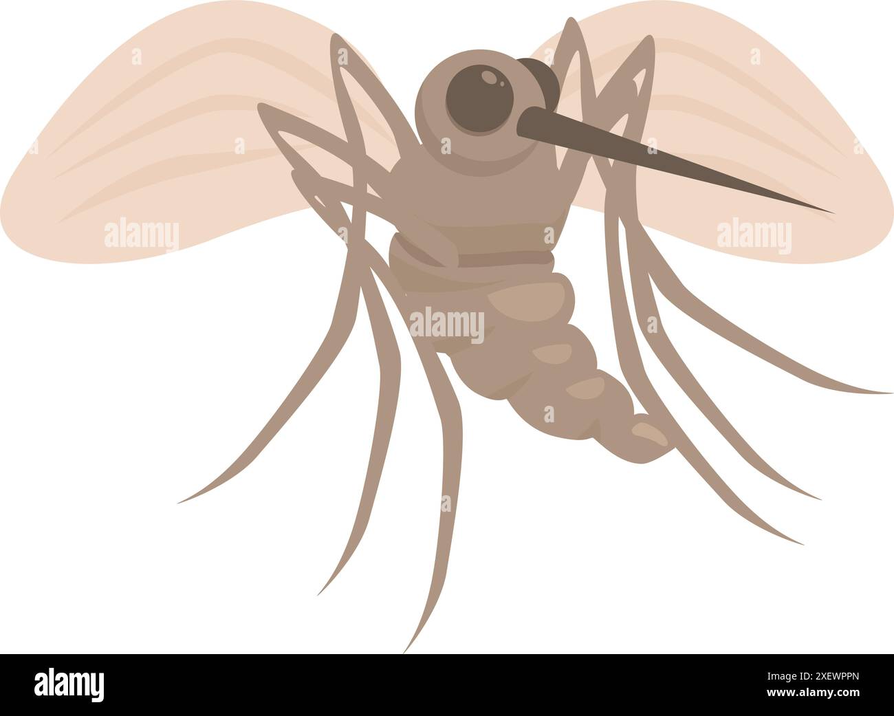 Mosquito spreading malaria, annoying insect, carrier of infectious ...