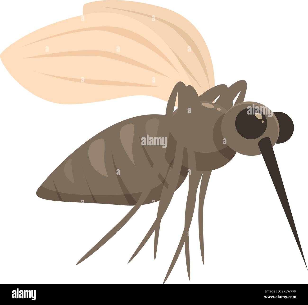 Mosquito character spreading malaria with open wings flying Stock ...