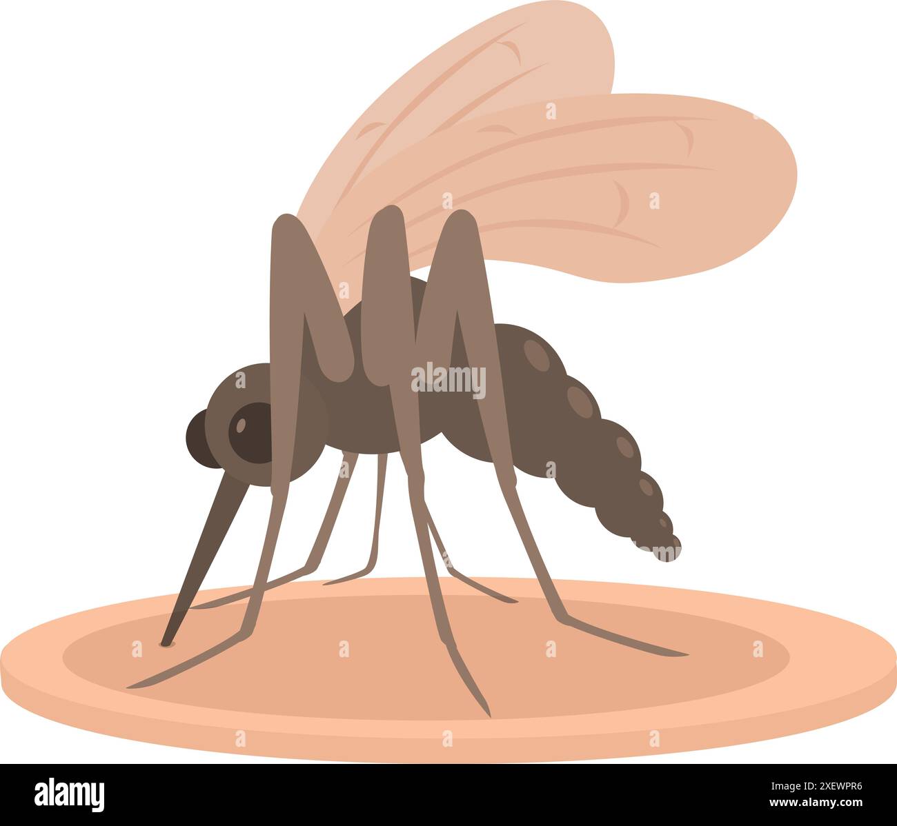 Mosquito landing on skin drinking blood spreading disease Stock Vector ...