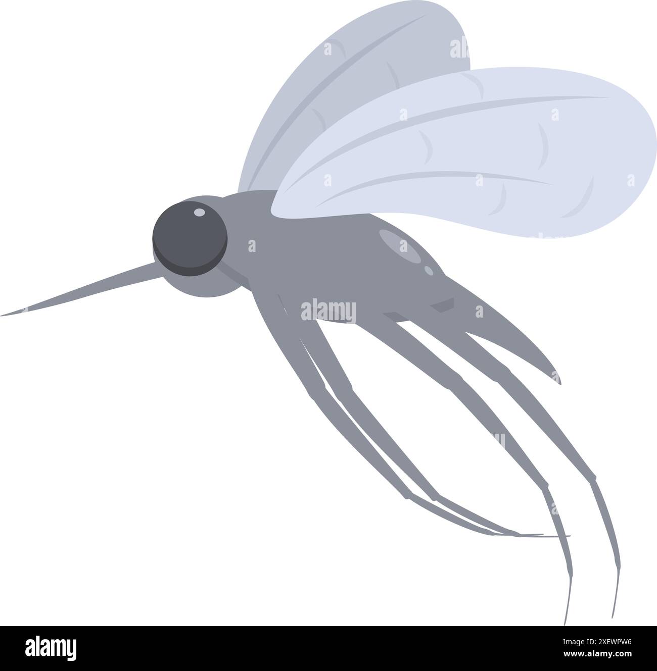 Grey mosquito flying and spreading malaria virus Stock Vector Image ...