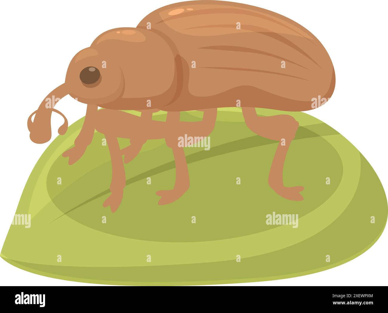 Brown beetle standing on a green leaf illustration Stock Vector Image ...