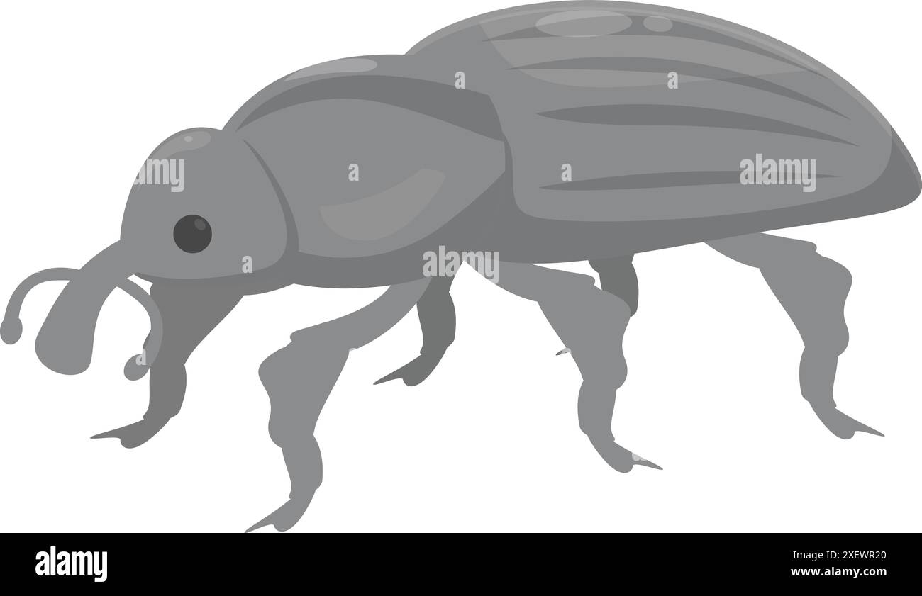Gray beetle is walking on a white background Stock Vector Image & Art ...