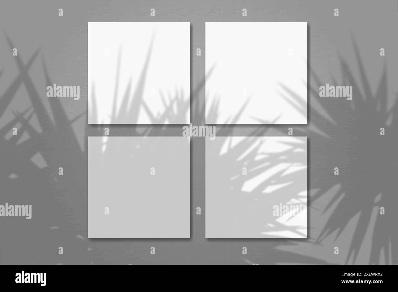 Natural light casts shadows from the palm tree on 4 square sheets of white textured paper lying ...