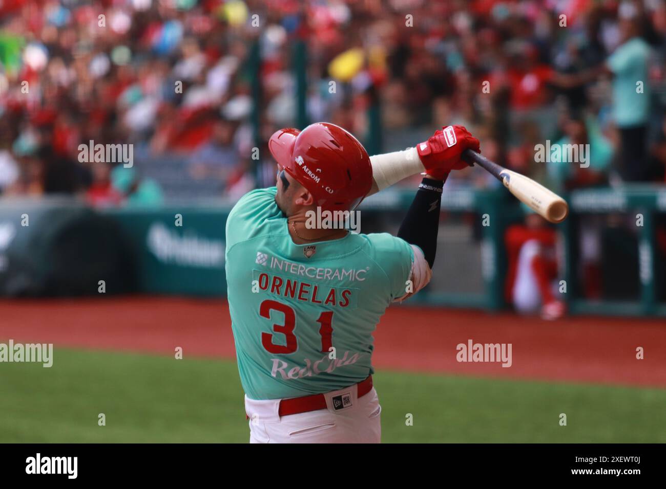 Leones de yucatan mexican baseball team hi-res stock photography and ...