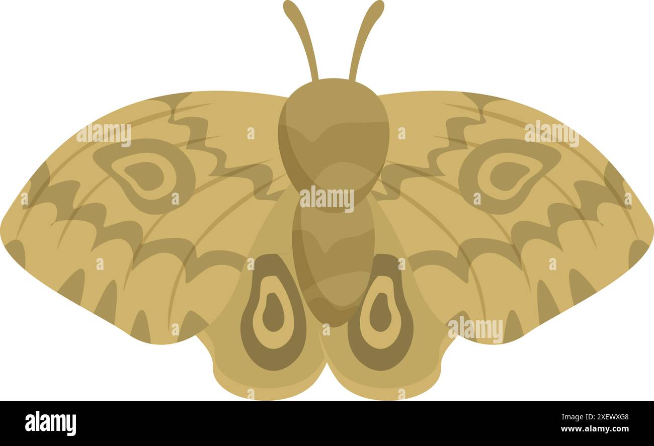 Brown butterfly with beautiful markings spreading its wings Stock ...