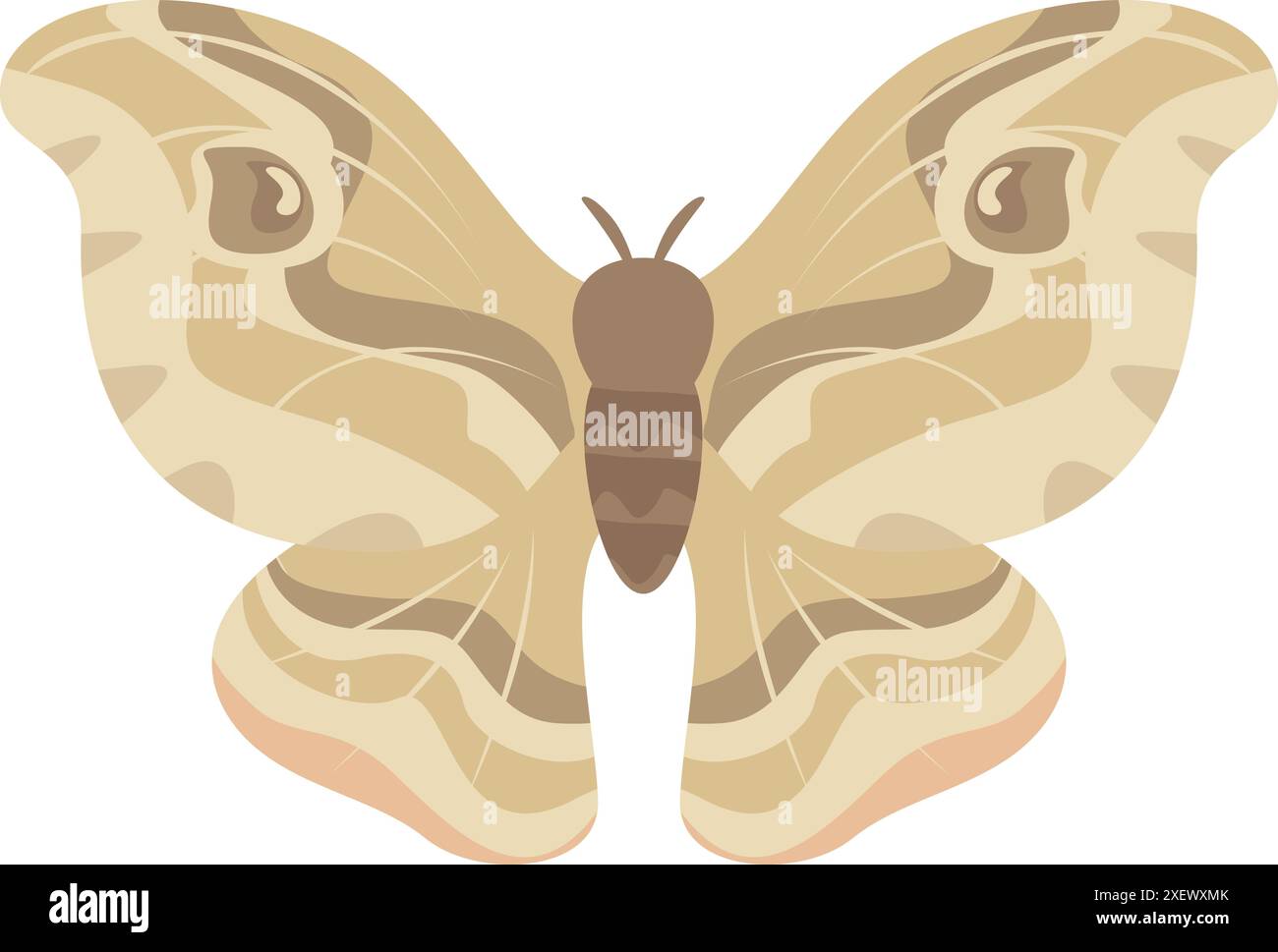 Minimalist illustration of a beige moth spreading its wings Stock ...