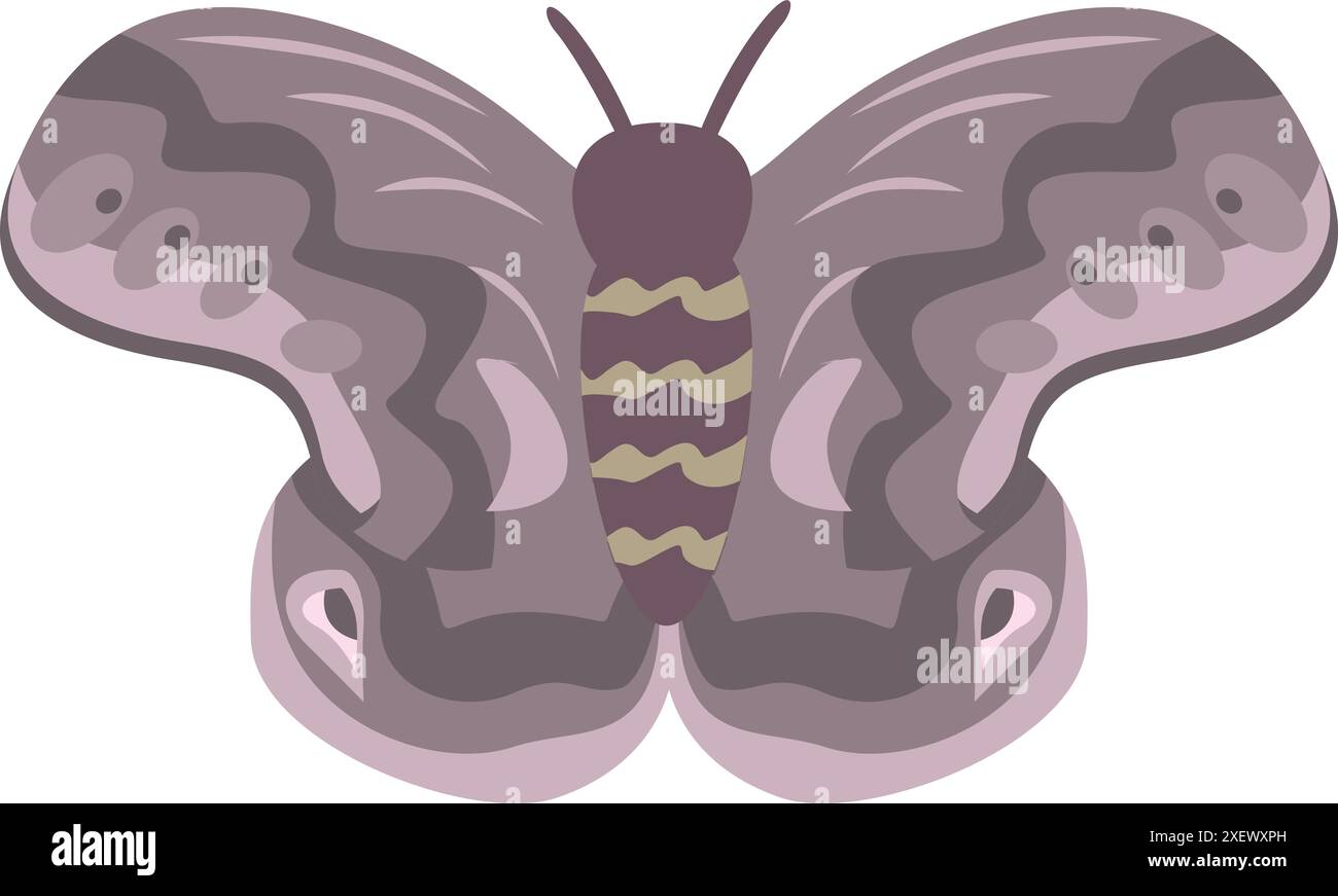 Purple moth with patterned wings hi-res stock photography and images ...