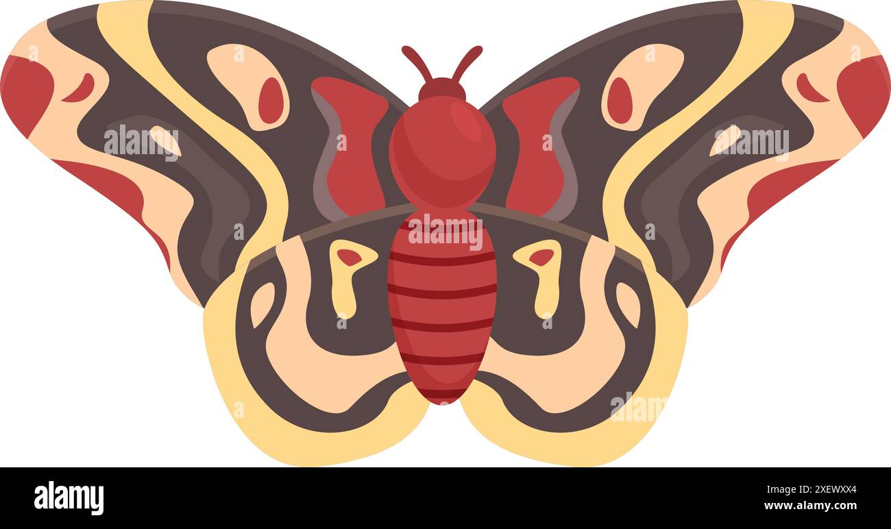 Colorful exotic butterfly spreading its wings on white background Stock ...