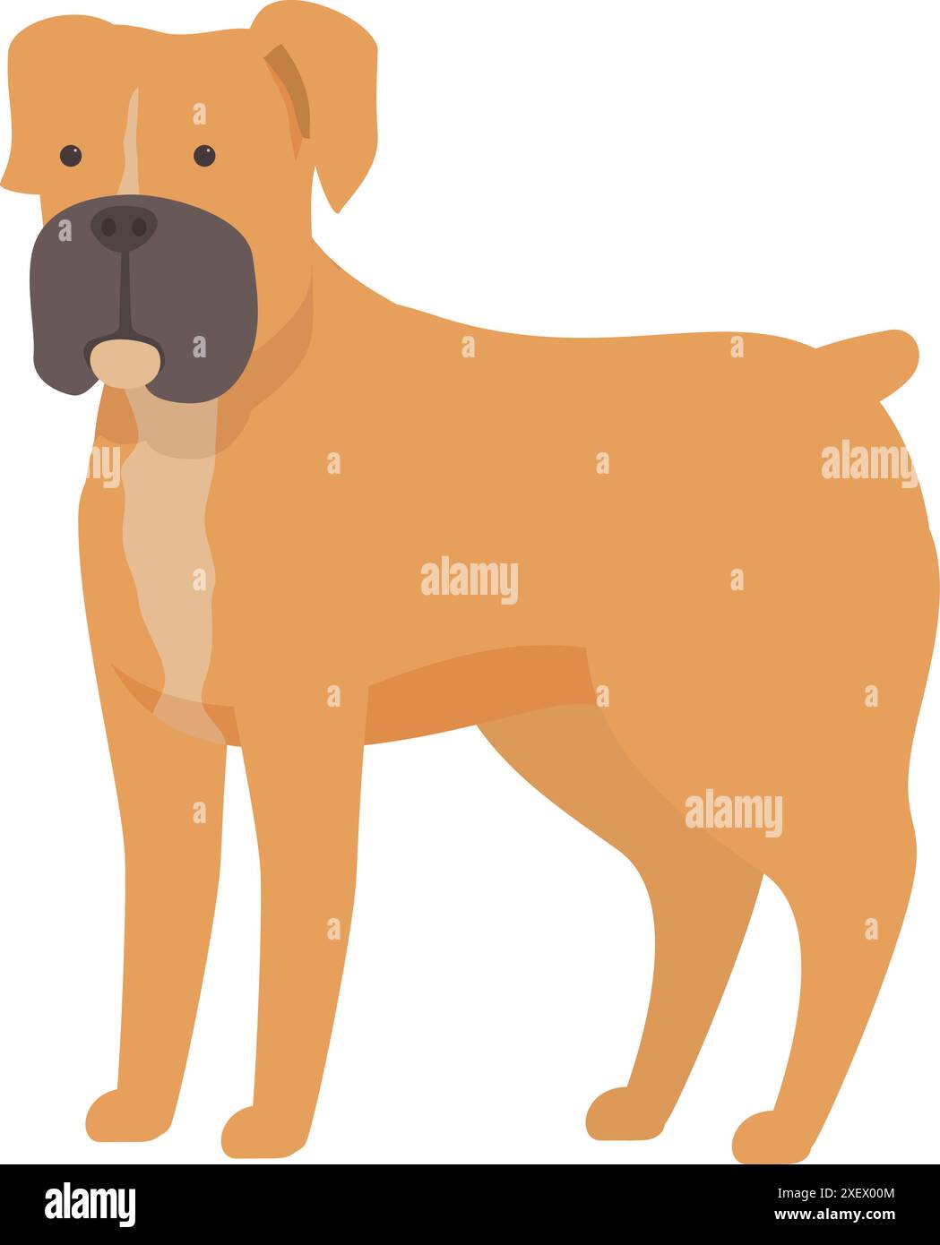 Illustration of a brown boxer dog standing hi-res stock photography and ...