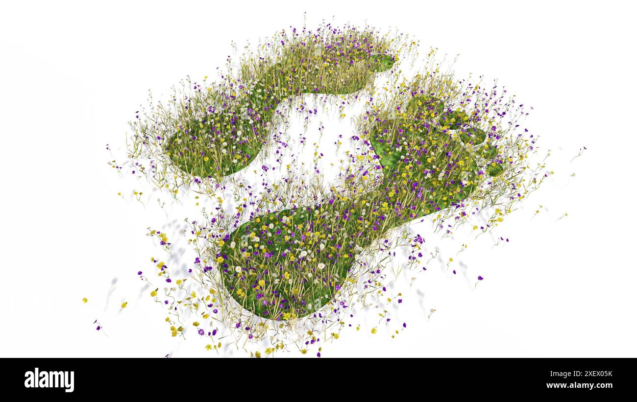 3D grass path Ecological footprint on white bg 3d render Stock Photo ...