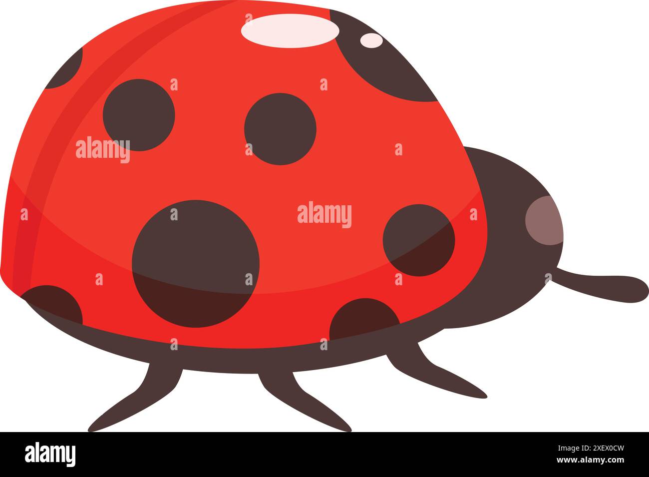 Red ladybug walking with black spots on shell Stock Vector Image & Art ...