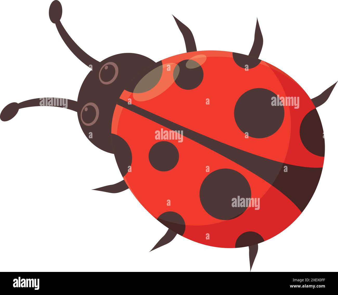 Red ladybug crawling with black spots on its back isolated on white ...