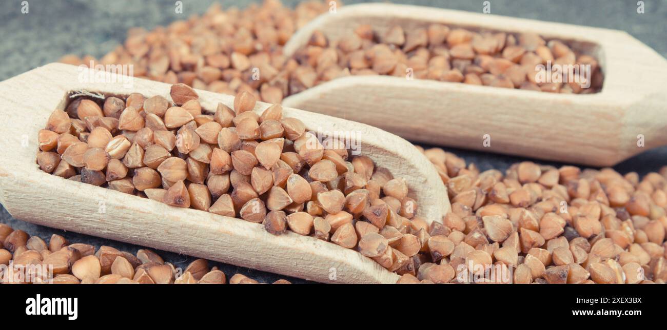 Healthy buckwheat as source natural vitamins, minerals and dietary ...