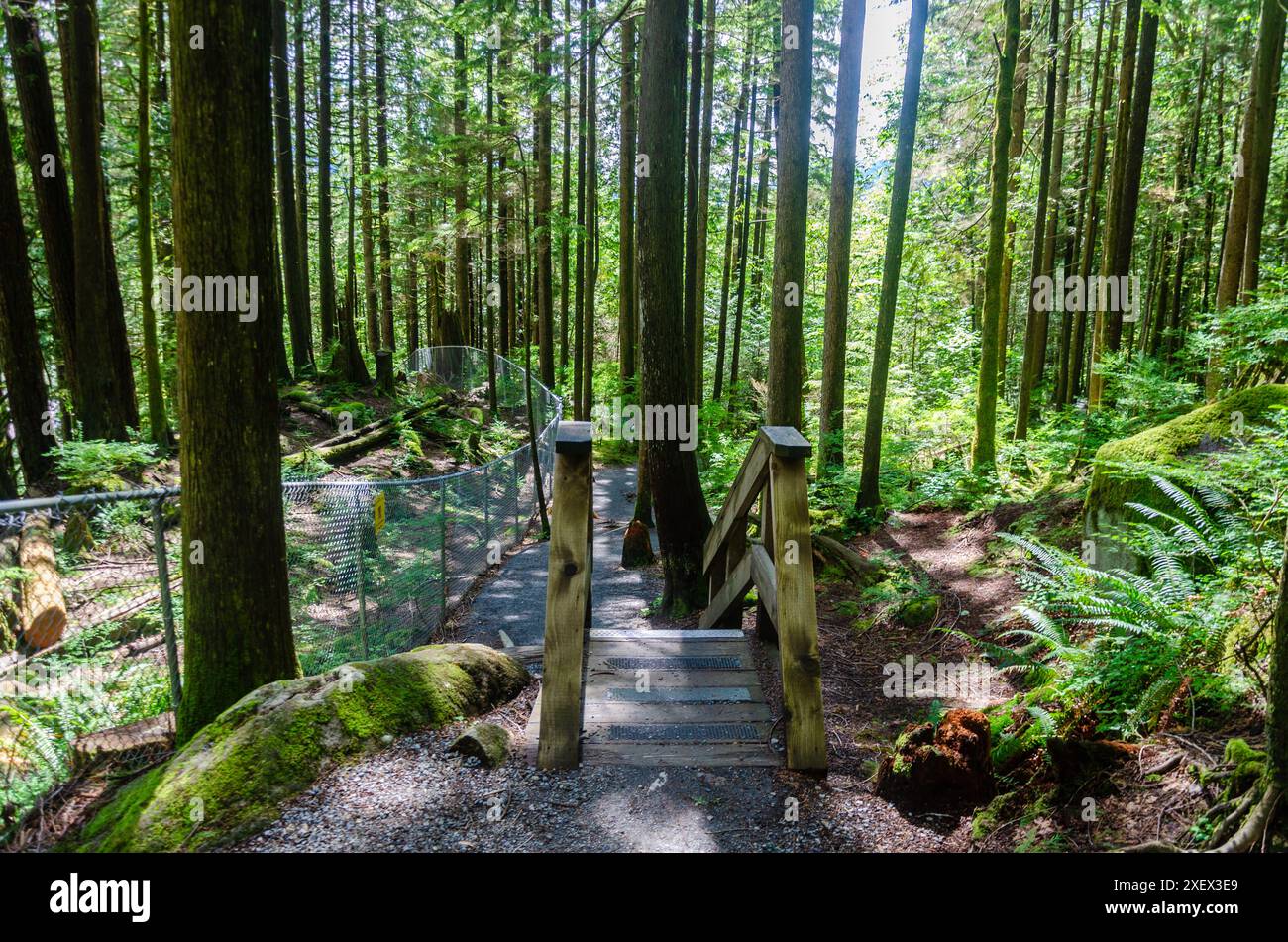 Uphill pathway leading to the Cascade Falls located Northeast of ...