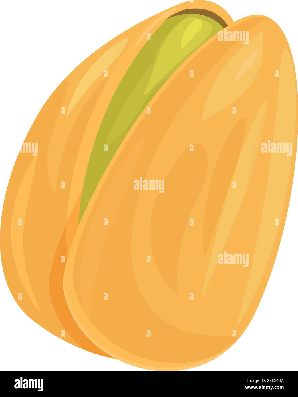 Kernel fiber Stock Vector Images - Alamy