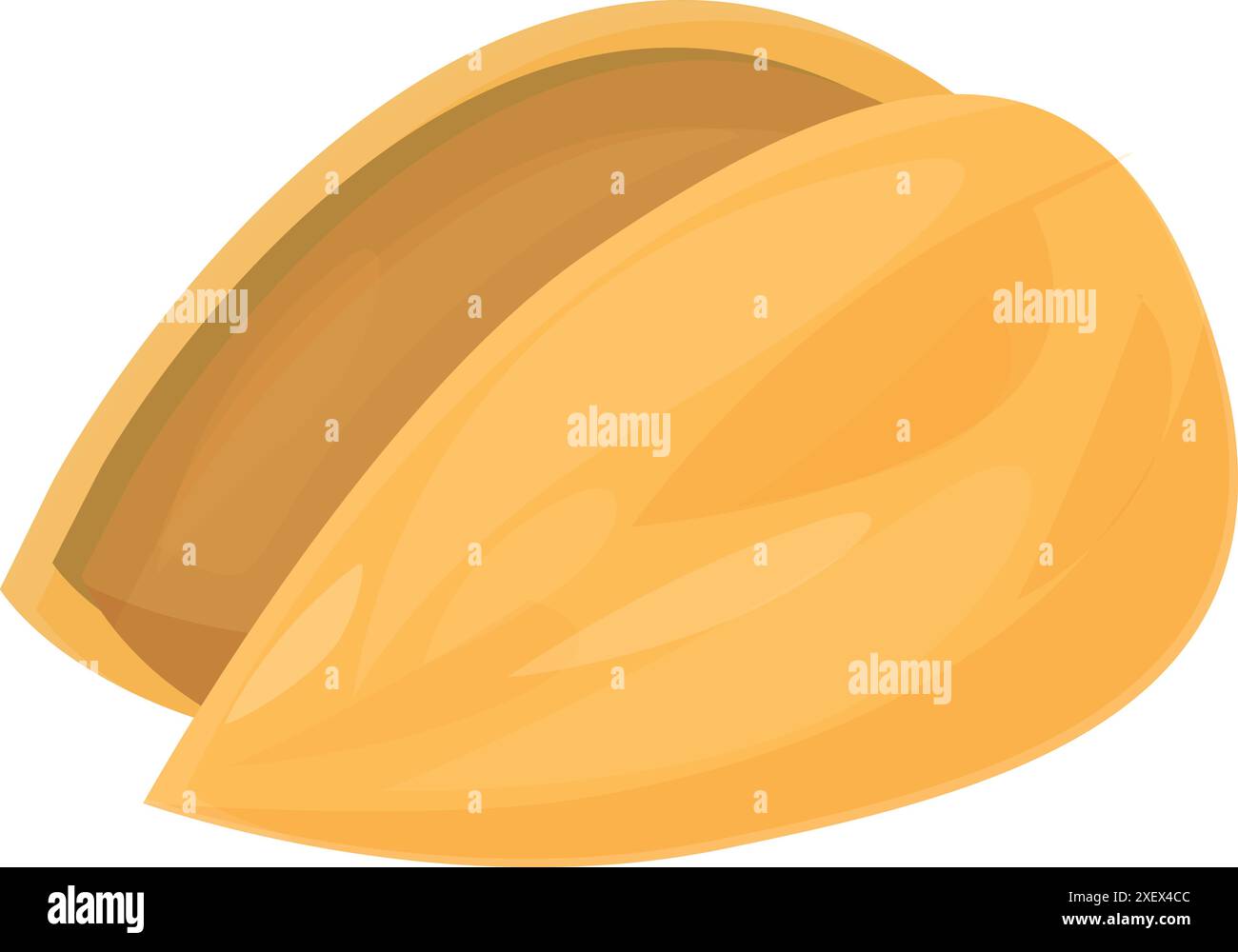 Empty nut shell Stock Vector Images - Alamy