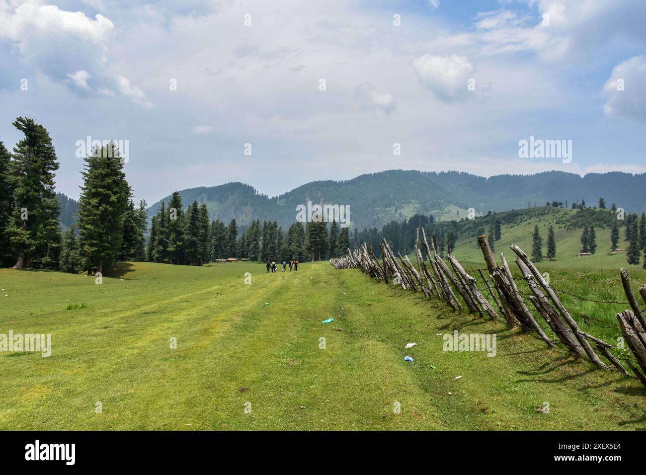 Kulgam, India. 29th June, 2024. Visitors walk through the meadow during ...