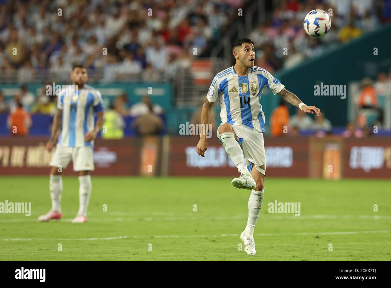 Seleccion argentina futbol palacios hi-res stock photography and images ...