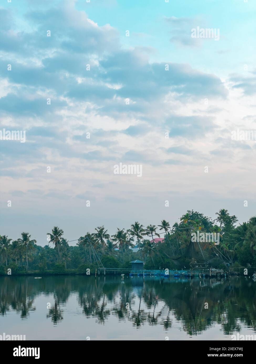 Scenic view of the kochi backwaters in the indian state of Kerala ...